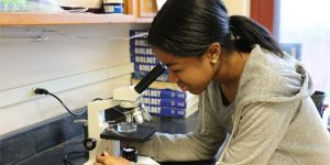 Preparatory Charter School of Mathematics, Science, Technology and ...